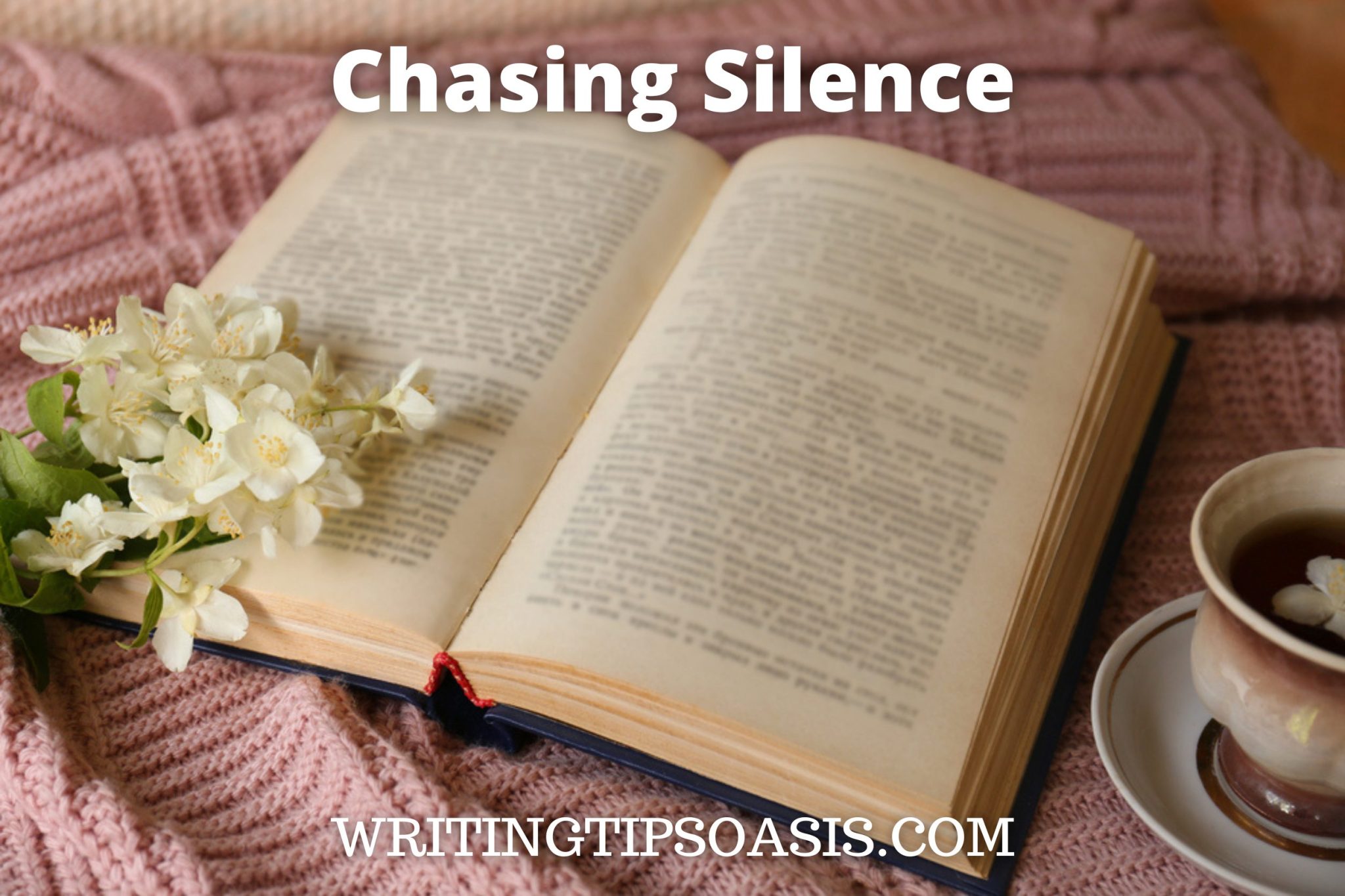Write Your Novel – Chasing Silence - Writing Tips Oasis - A website ...