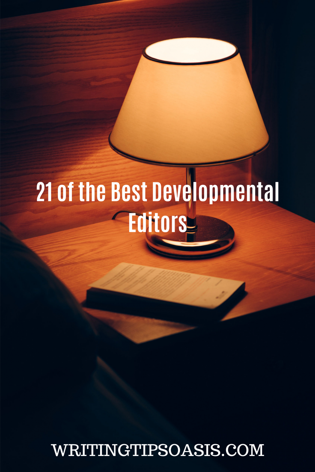 21 of the Best Developmental Editors - Writing Tips Oasis
