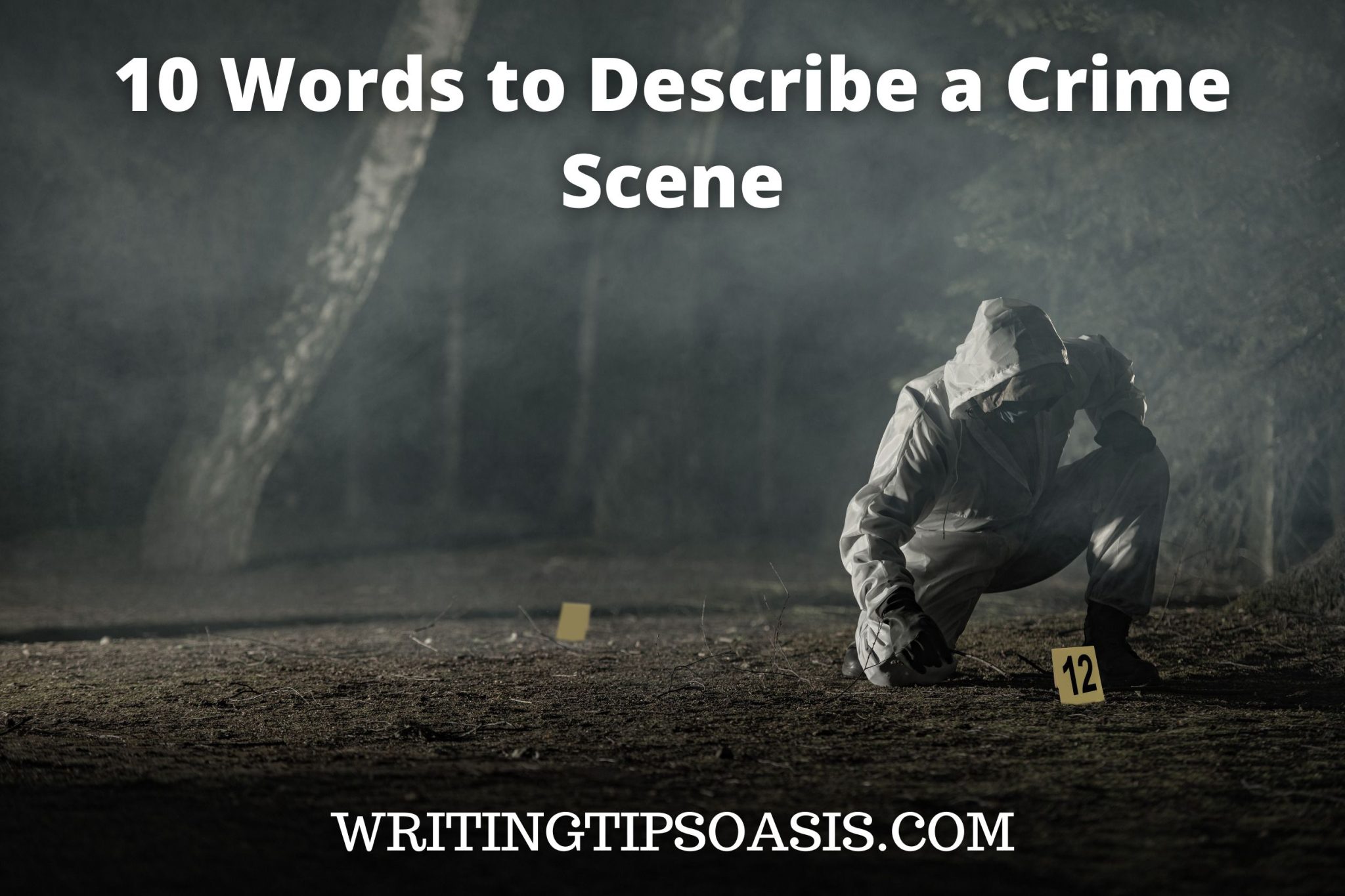 10 Words to Describe a Crime Scene - Writing Tips Oasis - A website ...