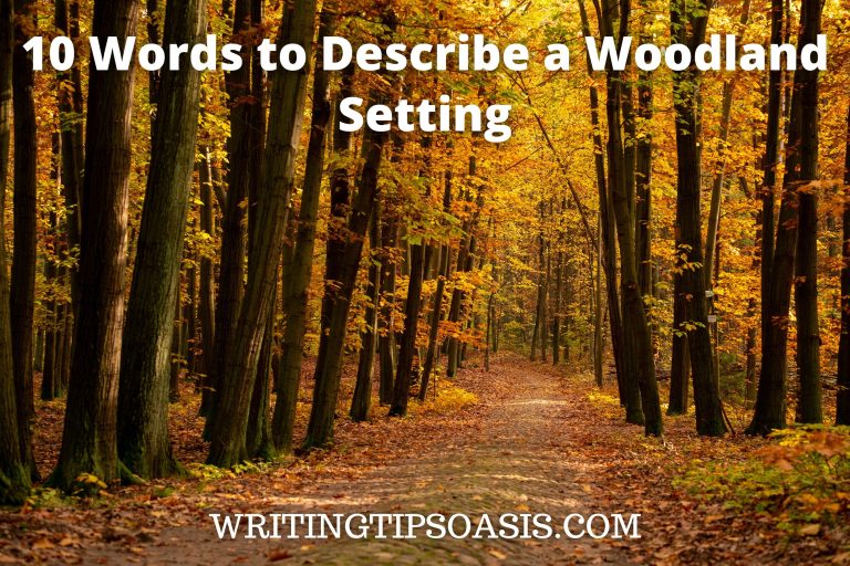 10 Words to Describe a Woodland Setting - Writing Tips Oasis - A ...