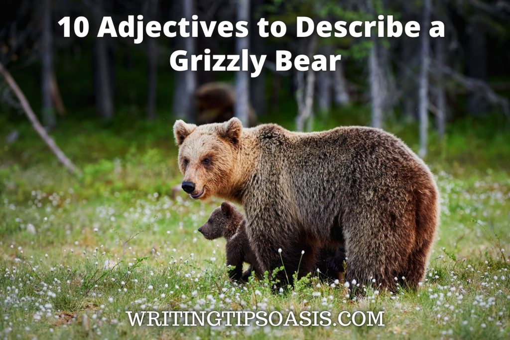 10 Adjectives to Describe a Grizzly Bear - Writing Tips Oasis - A ...