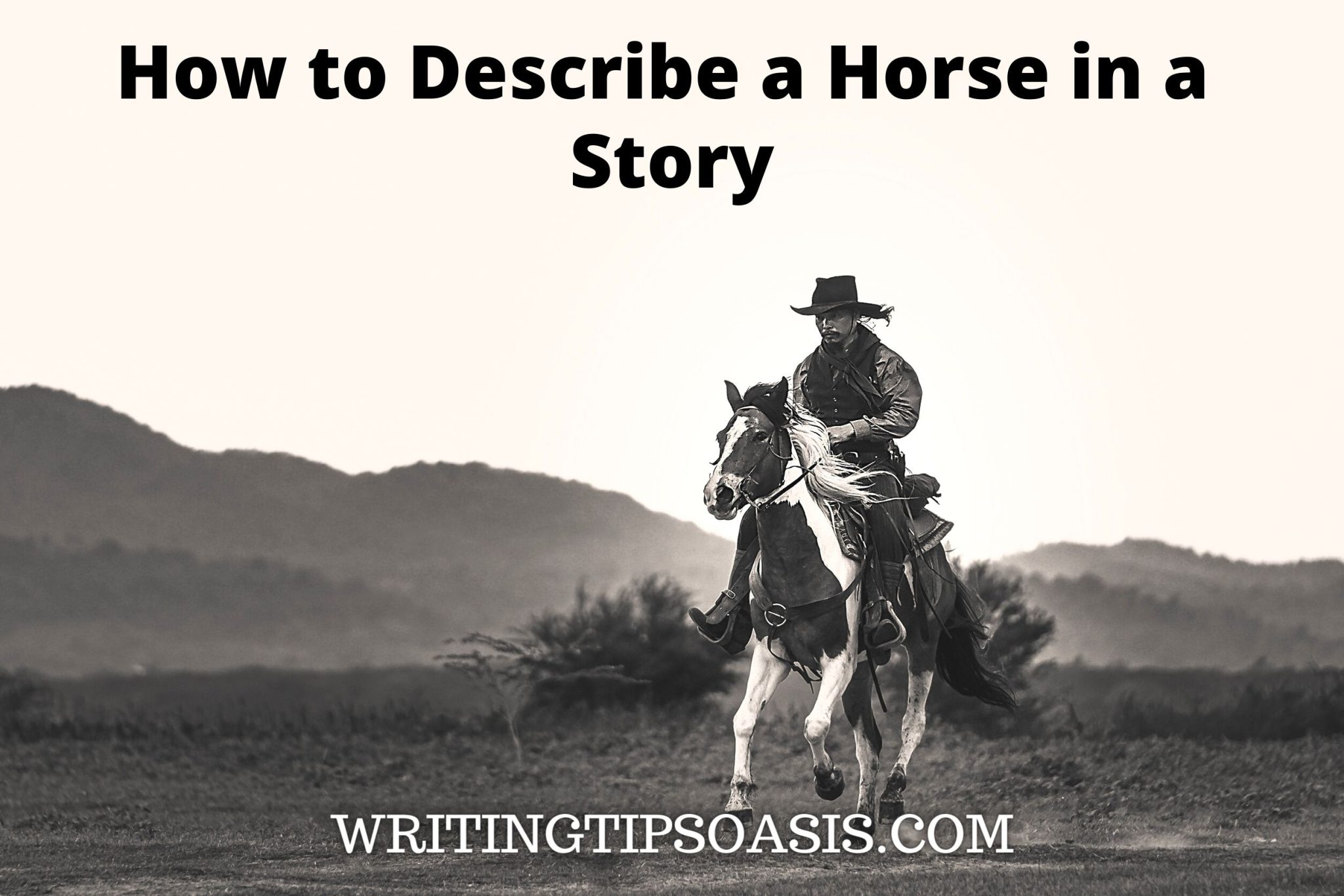How to Describe a Horse in a Story - Writing Tips Oasis - A website ...