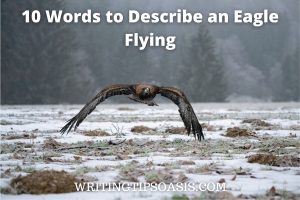10 Words to Describe an Eagle Flying - Writing Tips Oasis - A website ...