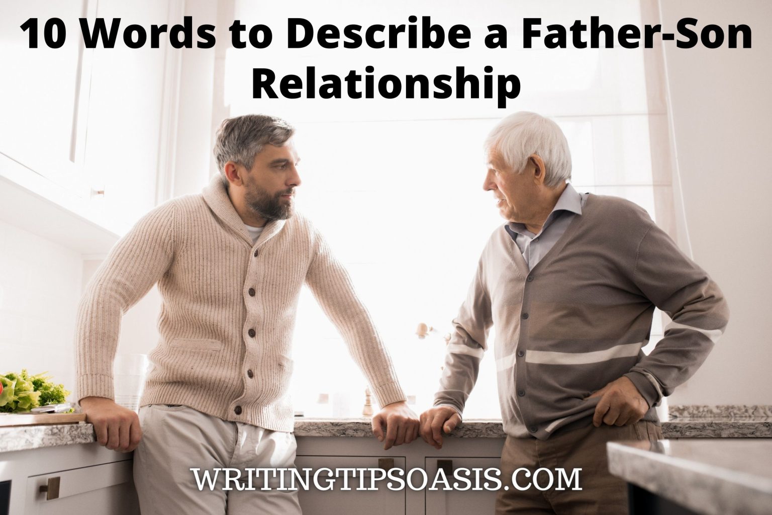 10 Words to Describe a Father-Son Relationship - Writing Tips Oasis - A ...