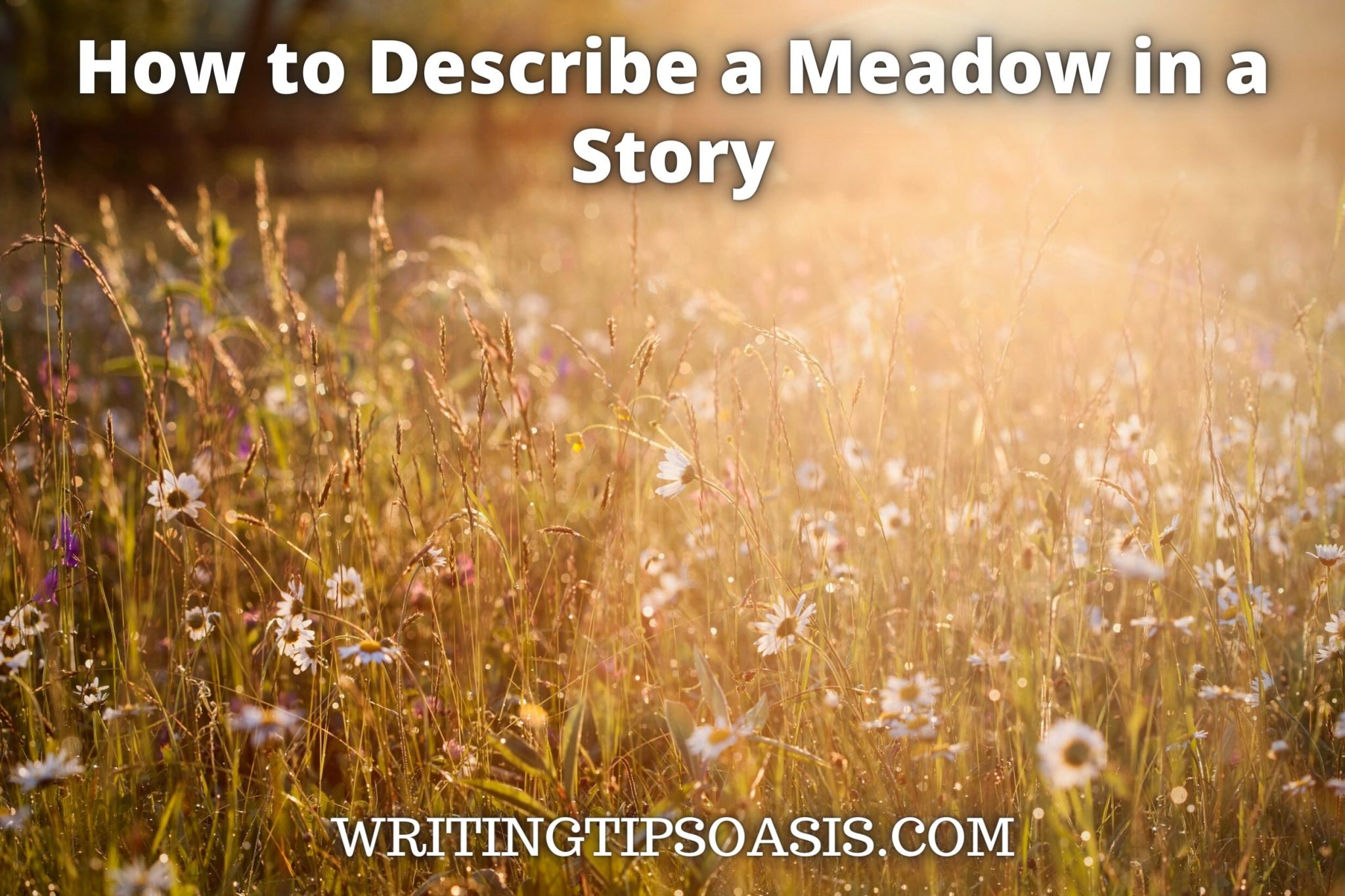 How to Describe a Meadow in a Story - Writing Tips Oasis - A website ...